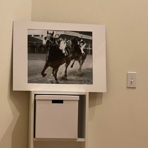 Secretariat Portrait Photo #312 - Etsy