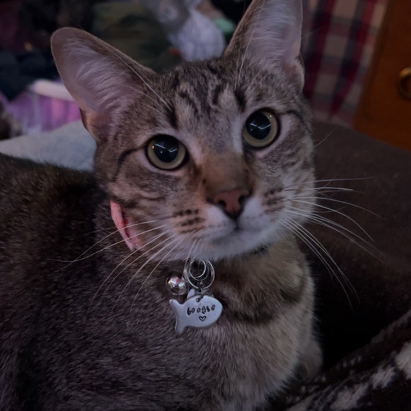 Small Dog Tag - Cat Tag - Fish Shaped Pet ID Tag - Ocean Themed Pet Tag ...