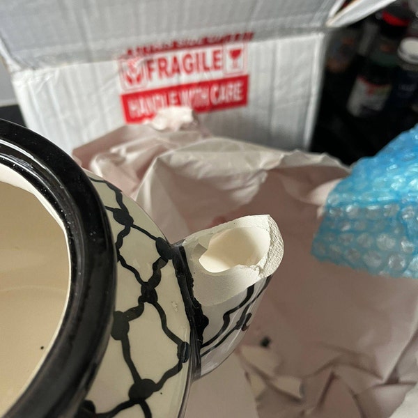 Medjool Dates From Palestine -jericho - Etsy