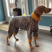 Vizsla Pyjamas, Vizsla Fleece-Pyjamas, Hundepyjamas, Hunde Outfit ...