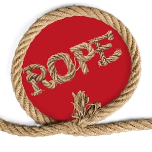 Colorful Alphabet, Transparent Background, High Quality, Clipart, 12x12 ...