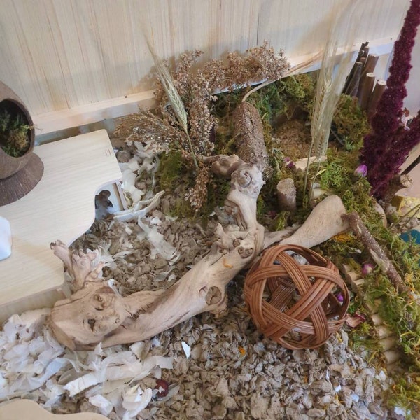Hamster Vine Branch/ Natural Hamster Enclosure Item - Etsy UK