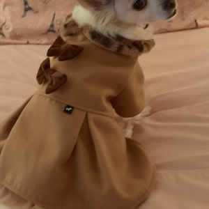 Chef Dog Hat / Chef Hat for Cat /chef Hat for Pets/ - Etsy