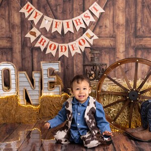 Cow Party Balloon Garland, Rodeo Balloon Garland, Farm Party ...