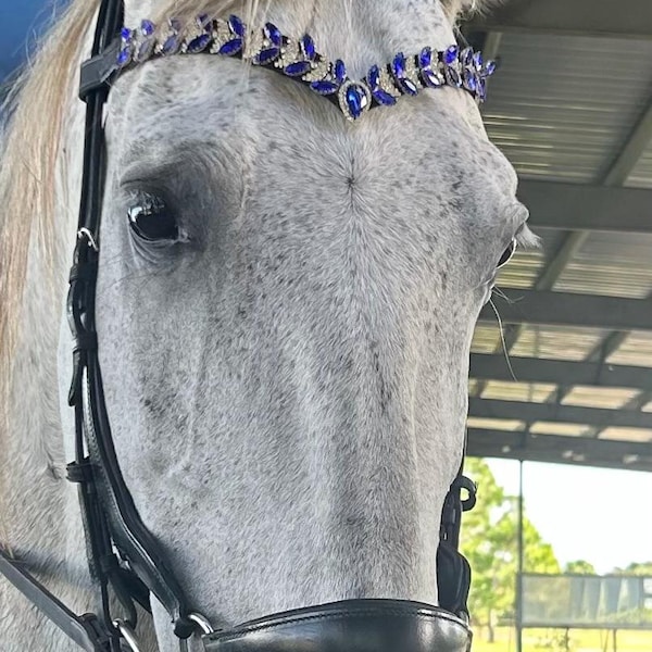 Anatomical Working Hunter Leather Bridle Cavesson Padded Cutaway ...