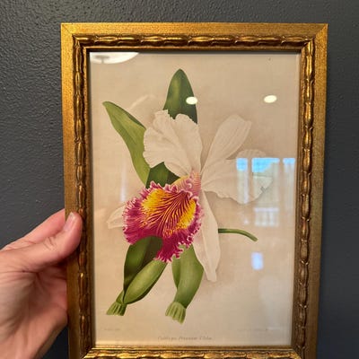 Distressed Silver Picture Frame W/bead Silver Wedding Frame A4 A3 A5 ...