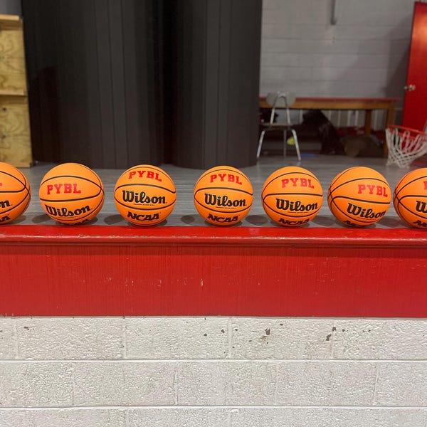 Customized Personalized Wilson Evolution Basketball Indoor Sizes 29.5 ...