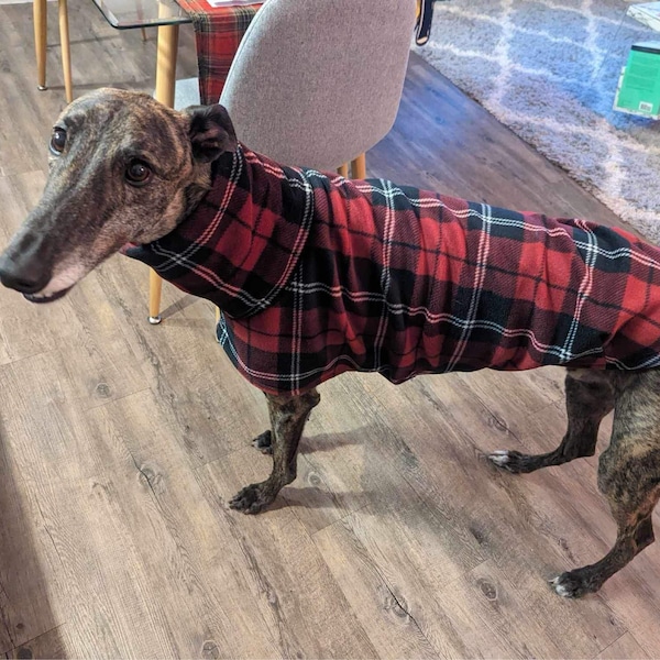 Italian Greyhound Coat Italian Greyhound Clothing Plaid Dog Coat ...