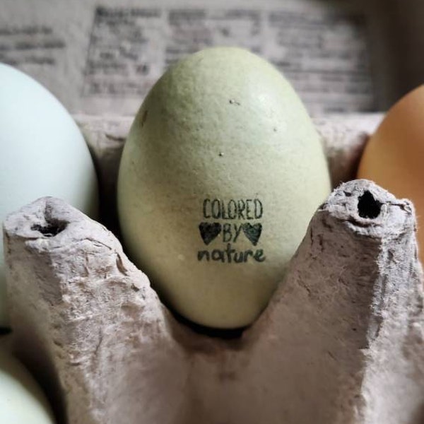 Mini Egg Safe Ink Pad - Black - Size: 1.75" X 2.5" - Food Safe Ink Pad ...