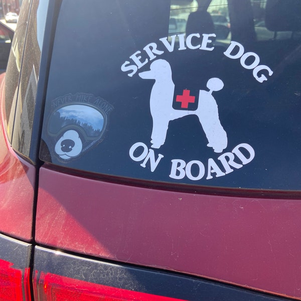 Lady Trucker TP 684 Vinyl Decal Sticker Truck Driver Semi Big Rig 18 ...