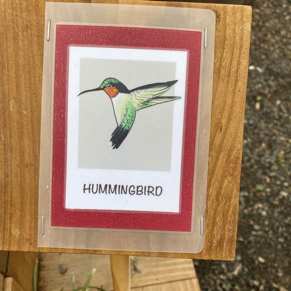 Toddler Flash Cards, Backyard Birds Printable Flashcards, Homeschool ...