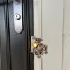 Handcrafted Bronze Lizard Doorbell - Etsy