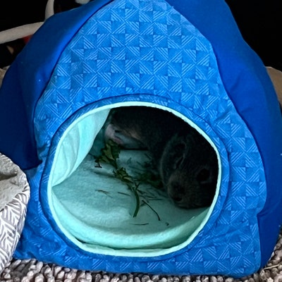 Make Your Own Guinea Pig Hidey Huts: Digital Sewing Pattern and ...