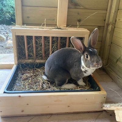 Rabbit Hay Feeder 3 in 1 Hay & Food Bowls With Litter Tray - Etsy UK