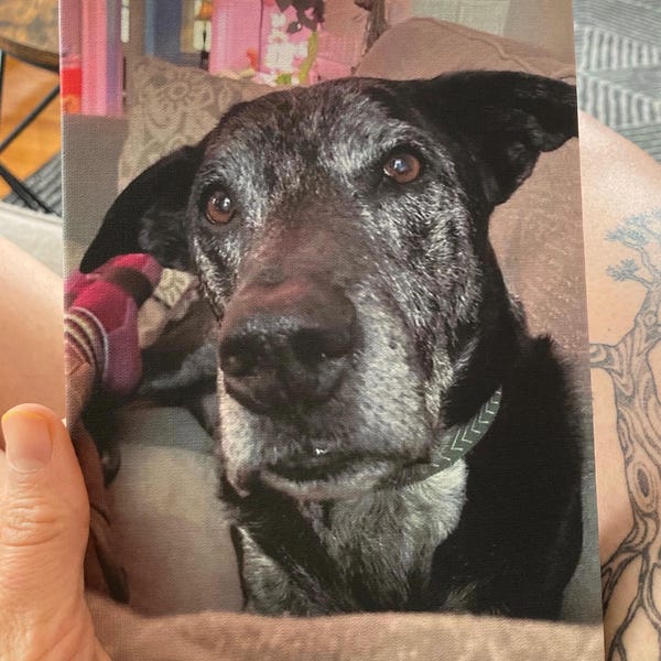 Jesus Christ Was Born Art Canvas Print Framed, Jesus Christ Art ...