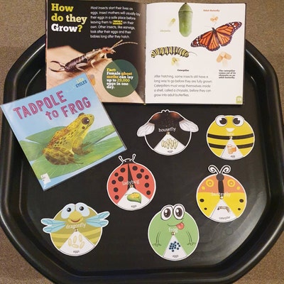 BRAILLE ALPHABET SYSTEM Printable Flash Cards Montessori - Etsy