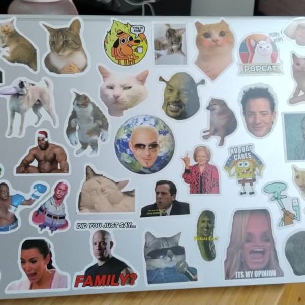 Pack of 50 Meme Stickers, Memes Sticker Pack, Waterproof Sticker Bundle ...