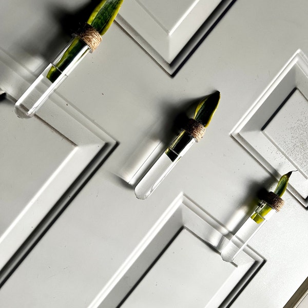 Ultimate Book Club Bundle, 8 Printable PDF Download, Book Log ...