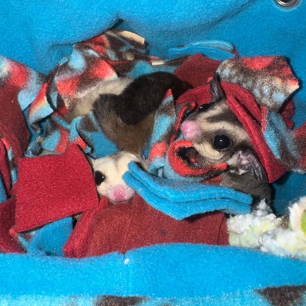 Snuggle Ball Pit; Large Fleece Reversible Hanging Pouch, Includes 4 ...