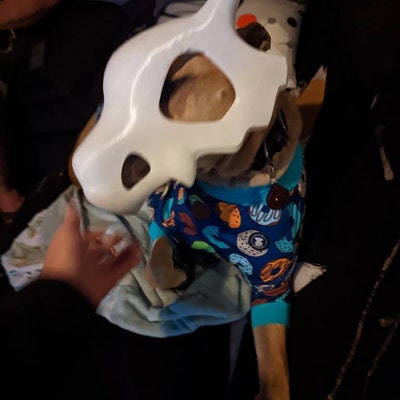 Cubone Dog Mask / Dinosaur Mask / Dog Costume / Funny Dog Gift / 3D ...