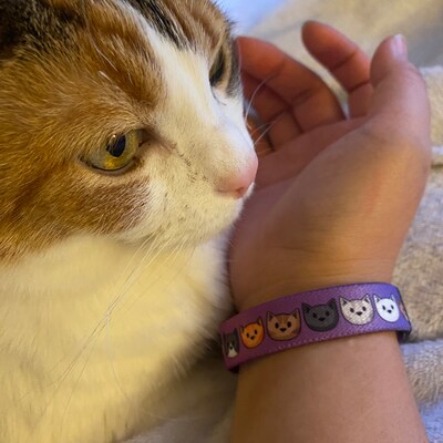 Pride Flag Cat Vinyl Sticker Pride Rainbow / Progress / - Etsy