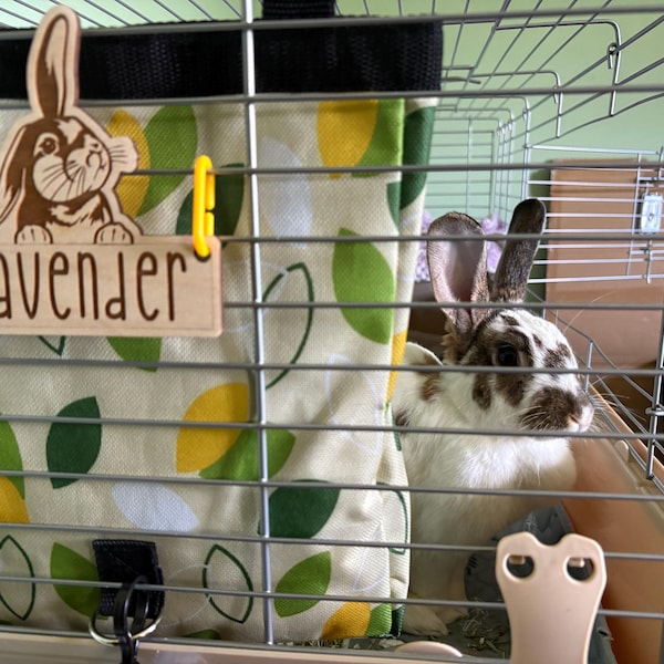 Bunny Rabbit Cage Tag, Personalized, Custom, Engraved Wood, Pet Rabbit ...