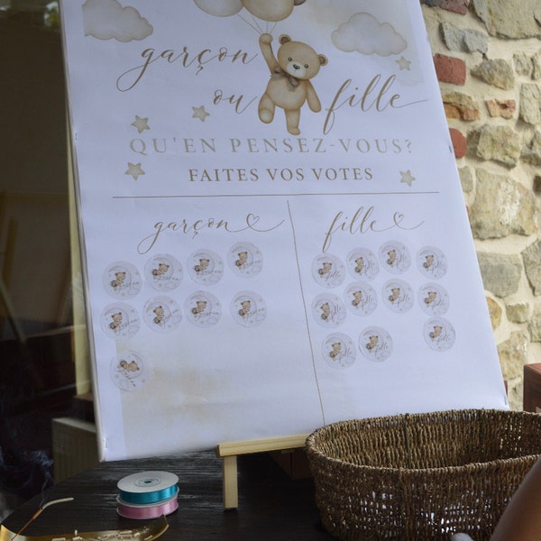 FRENCH Garçon Ou Fille Chart What Will Baby Be He or She Gender Reveal ...