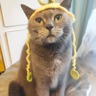 Crochet Lemon Hat for Cats - Etsy UK
