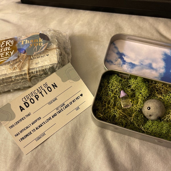 BABY ROCK! Magnetic W/ Adoption Certificate! Adopt an Adorable Desk Pet ...