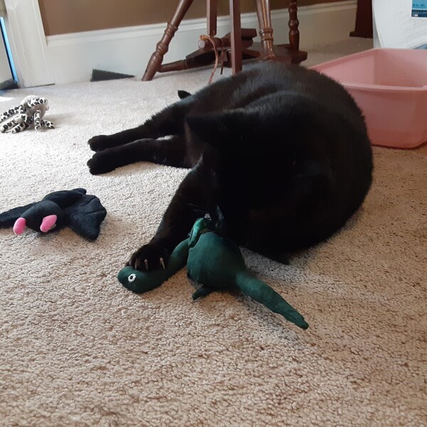 Loch Ness Monster Catnip Cat Toy - Etsy