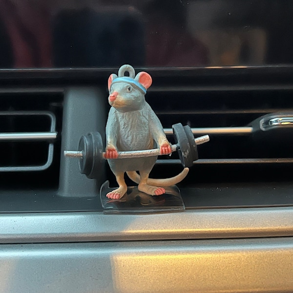 Gym Rat Keychain | Gym Keychain | Fitness Keychain | Gym Gifts ...