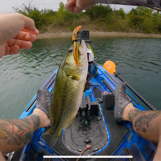 SwampBottomBaits (by Swamp Bottom Baits) - Etsy