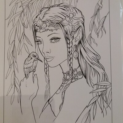 Colouring Fantasy Vol.2 PDF Colouring Book by Scot Howden - Etsy