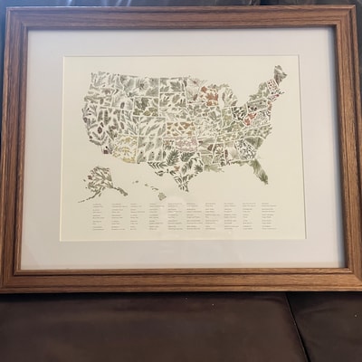 United States Tree Map State Trees Print, State Trees, Watercolor Map ...