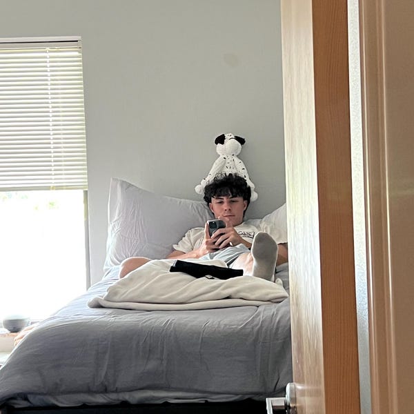 MINI Custom Crochet Plushee - Etsy