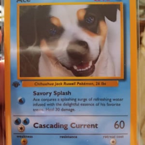 Custom Pokemon Card Holographic, Custom Pokemon Card Pet Gift, Pet ...