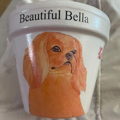 King Charles Decor,cavalier King Charles Spaniel Plant Pot, Cavalier ...