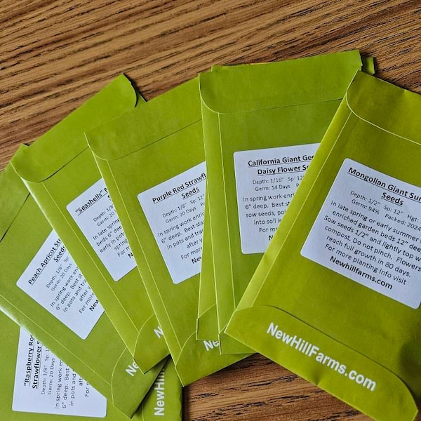 100 Seashells Mix Strawflower Flower Seeds - Etsy