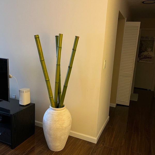 1" Fresh Cut Bamboo - Choose From 1 to 8 Feet Long - Etsy