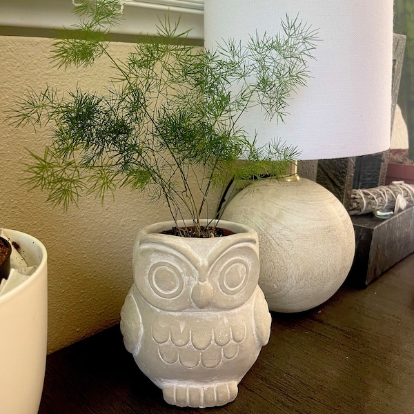 Owl Pot, Owl Planter, Cement Owl, Cement Pot, Bird Pot, Bird Planter ...