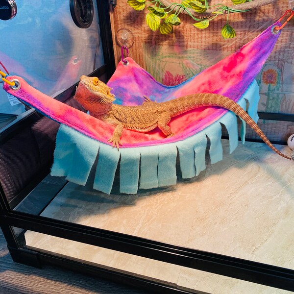 Sugar Glider Halloween Mobile, Lots of Activities, Sugar Gliders ...