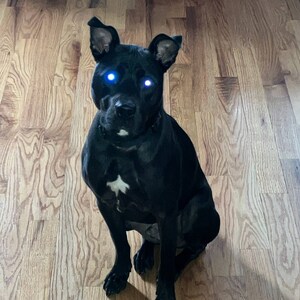 Devils Disciples MC So.cal Embroidery Patch Set Iron On - Etsy