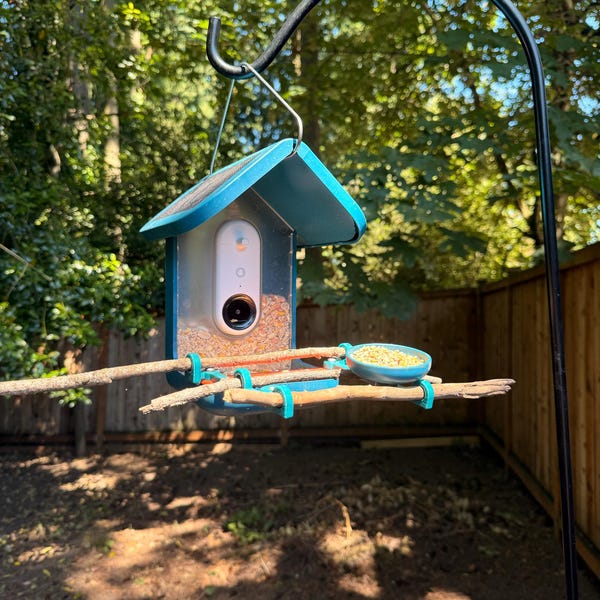 Bird Buddy Accessory Extender - Etsy