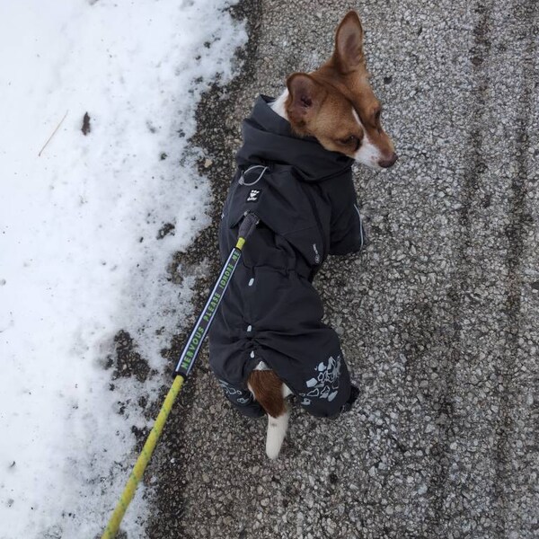 Pricing Calculator for Machine Embroidery, Embroidery Product Pricing ...