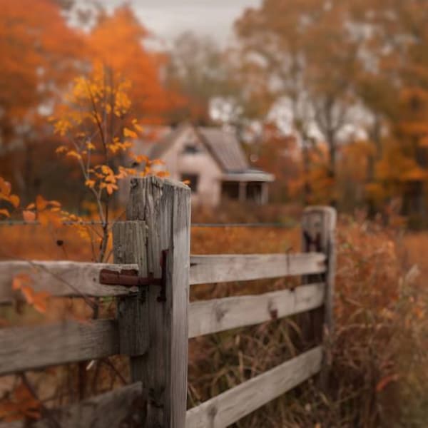 Farm With Fall Trees Rustic Fence Digital Background, Fine Art Portrait ...