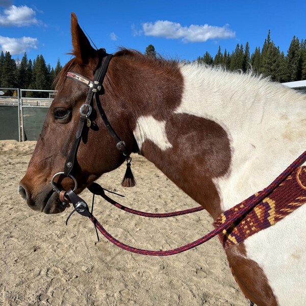 Custom Order Loop Rein With Leather Water Tie End, Various Lengths - Etsy