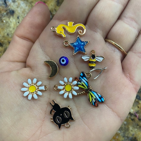 Enamel Charm Assortment Singles or Pairs Each Assortment Will Vary ...