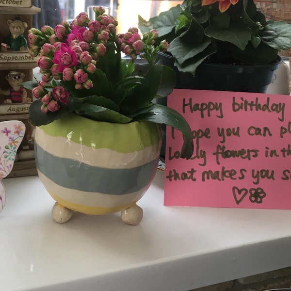 The Rainbow Candy Collection 2 - Handmade Ceramic Planter, Succulent ...