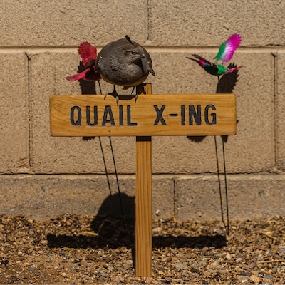 CAT X-ING Caution Sign, Hand Routed Cedar Wood Yard Sign, Cat Lovers ...