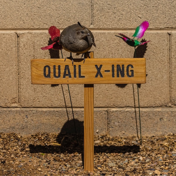 YARD GAME Signs, Party Signs, Wedding Game Signs, Family Reunion, BBQ ...